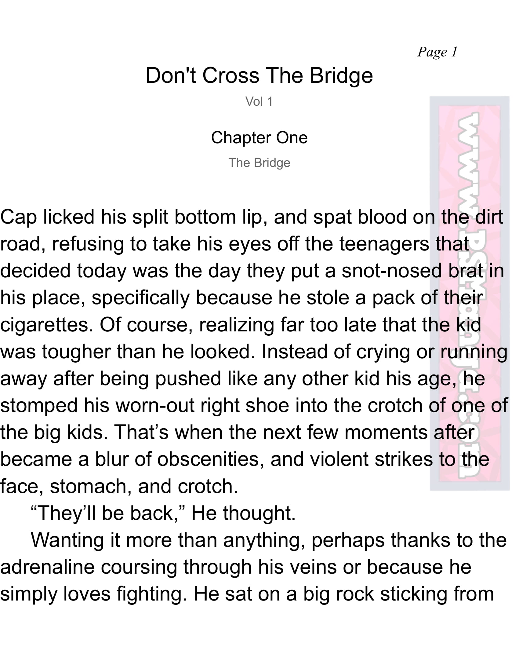 Don't Cross The Bridge - The Bookkeepers Library